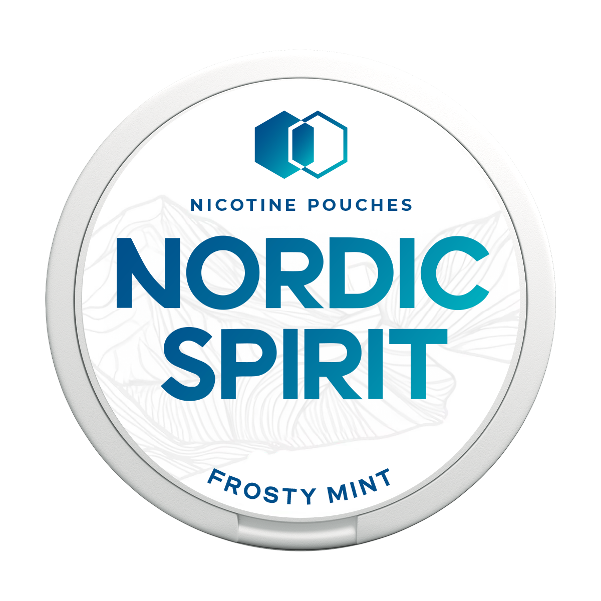 Frosty Mint Nordic Spirit Nicotine Pouches | Tobacco Free – Ecigwizard